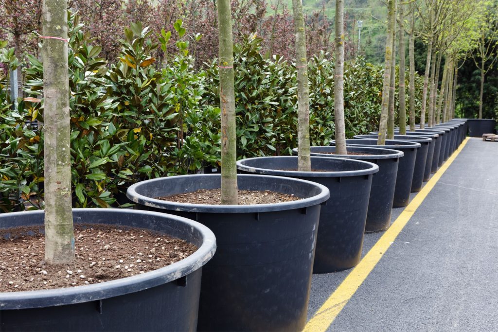 HEAVY DUTY POT WITHOUT HANDLES – Agritech